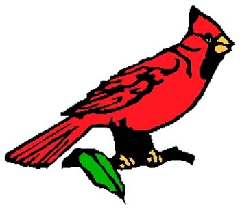 Design Your Own Decal - Cardinal mascot sports decal. Personalize on ...